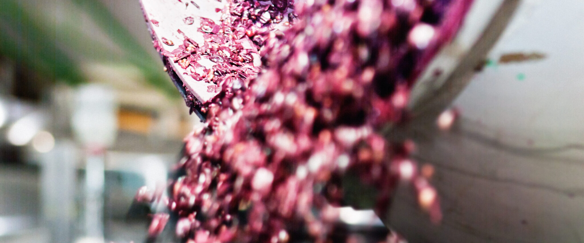 Unlock value from food waste upcycling - Sagentia Consulting