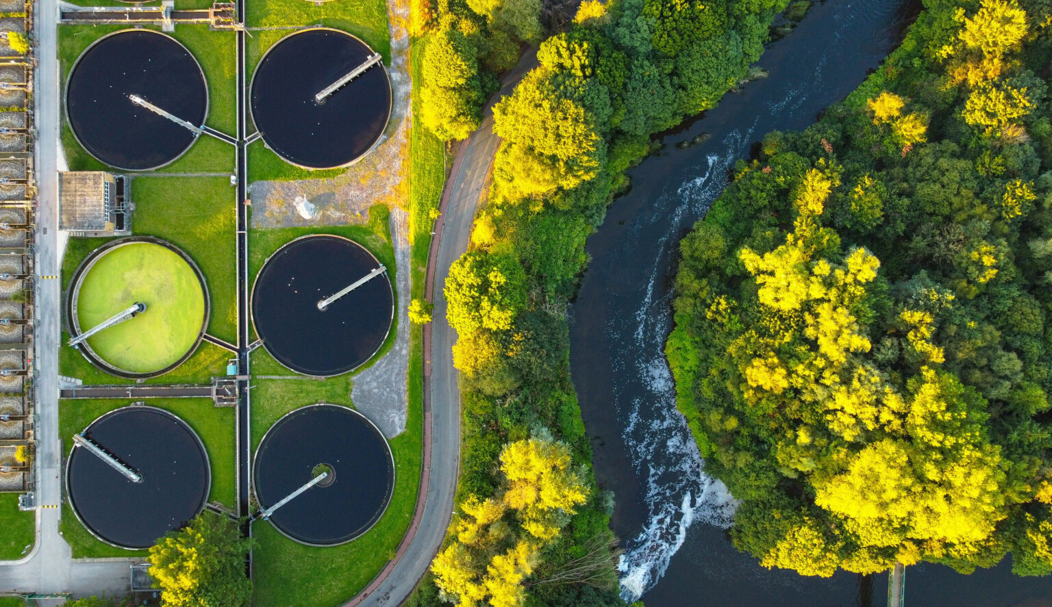 Sagentia - Science, Technology and Regulatory Consulting